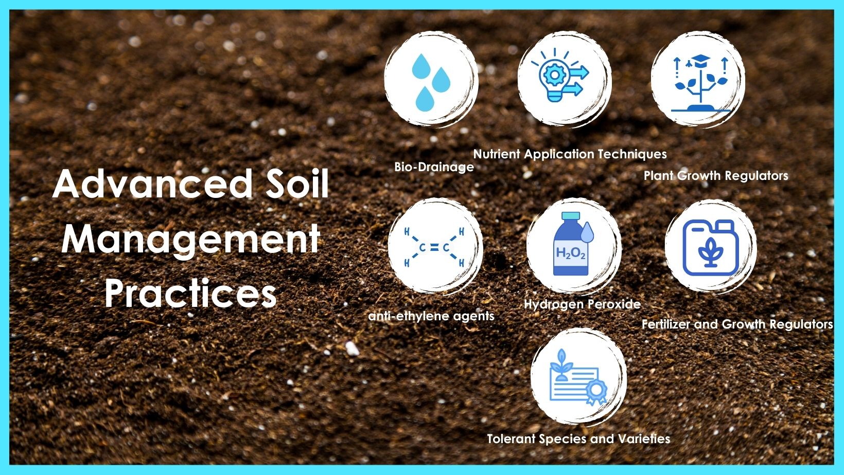 An Overview Of Soil Management For Maximum Crop Yields