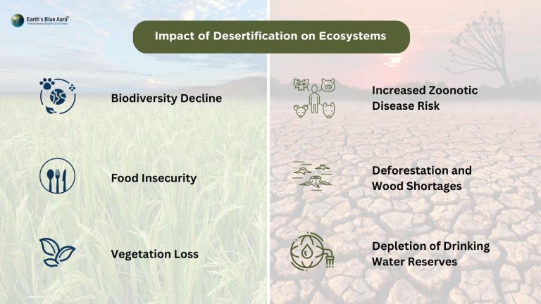 Desert Soilization: Transforming Arid Landscapes