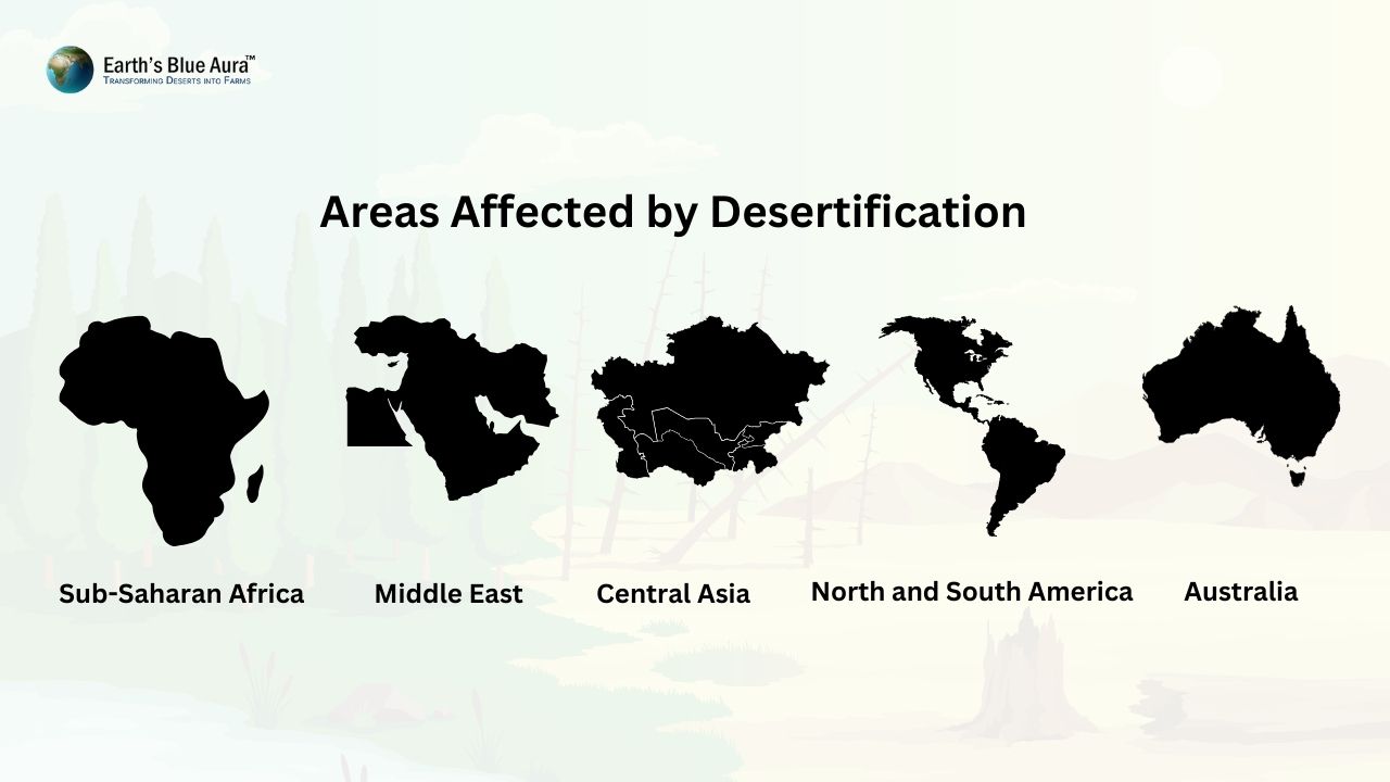 What Is Desertification? Causes, Effects, And Solutions