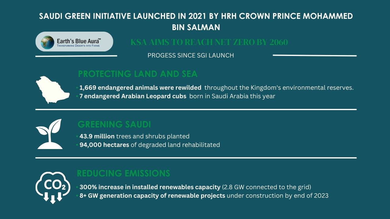 Transforming The Desert: A Guide To Desert Greening In Saudi Arabia
