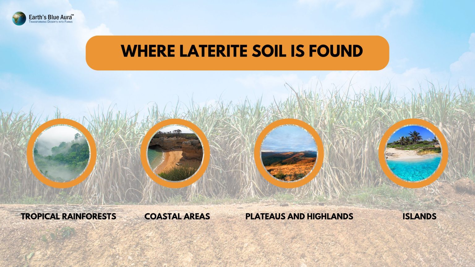 Understanding Laterite Soil: A Complete Overview